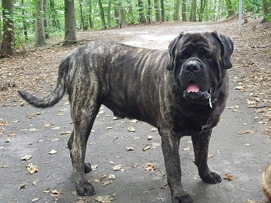 FB_IMG_1602702369748.jpg?_=1752b121de8